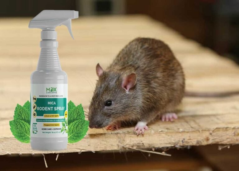 The 7 Best Rat Repellent Reviewed - Buying Guide