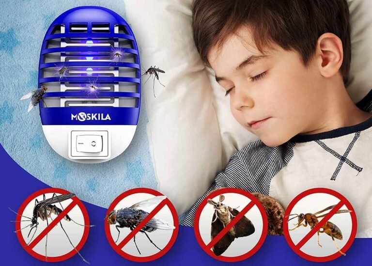 Best Fly Trap for Indoor & Outdoor Use- Buying Guide