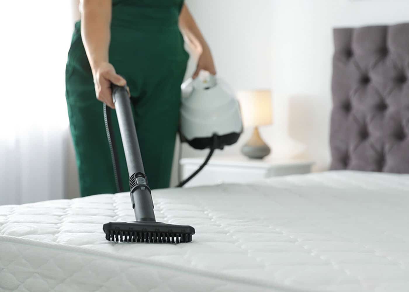 Choosing A Bed Bug Treatment 1057